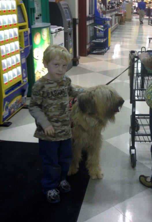 Canines For Disabled Kids Nolan and Coco - Canines For Disabled Kids